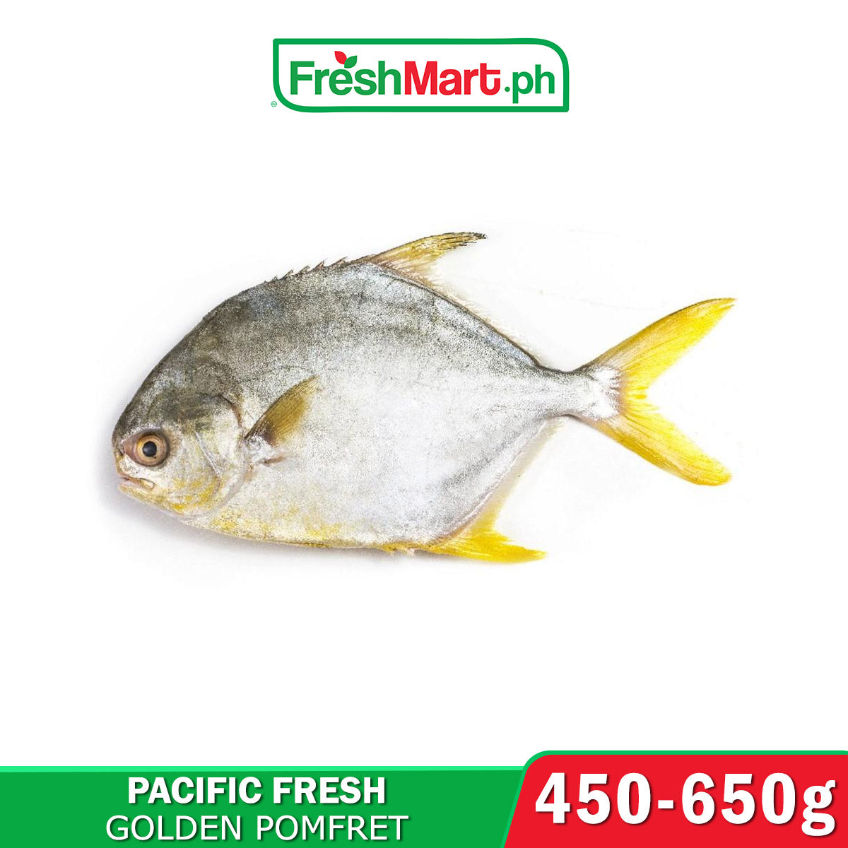 Pacific Fresh Golden Pomfret 450g-650g – Fresh Mart